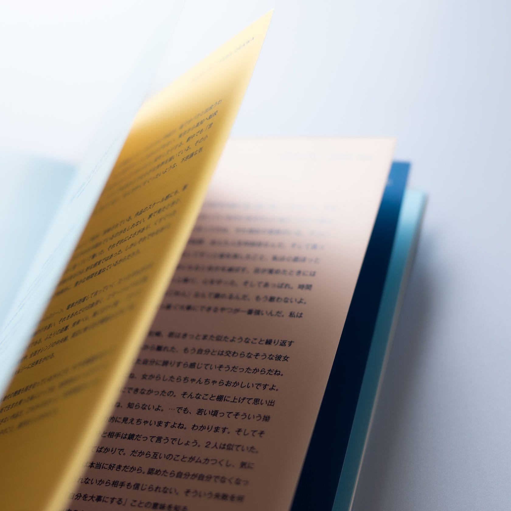 『海がきこえる』復刻パンフレット & 上映記念ZINE（セット） – Filmarks Store